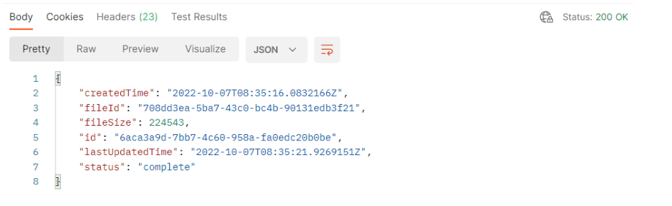 How to use Postman create e-Invoice & e-Tax Invoice via API